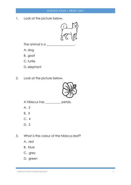 Year 1 dlp placement test (2) | PDF