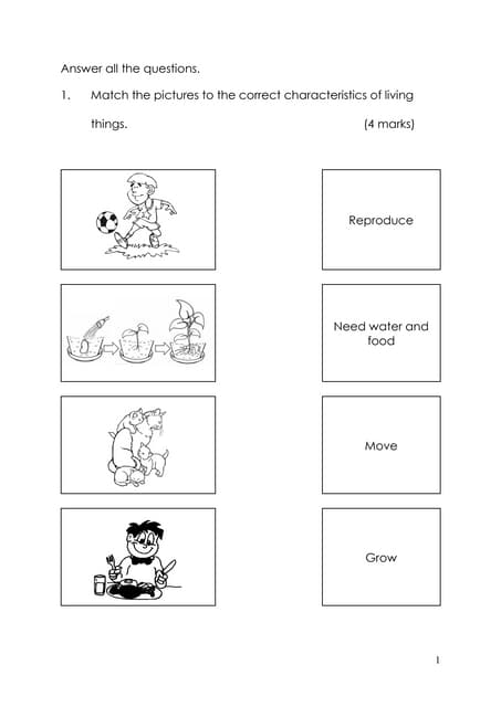 Grade 1 science unit 1 | PPTX | Science