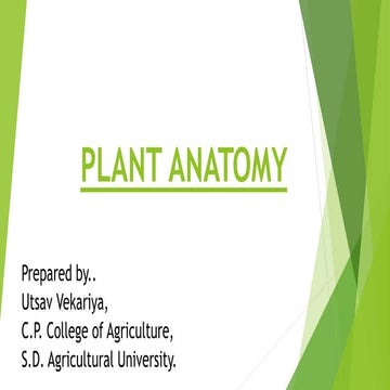 Plant Physiology by Utsav Vekariya, S.D. Agricultural University. | PPTX