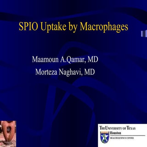 Spio uptake by macrophages | PPT