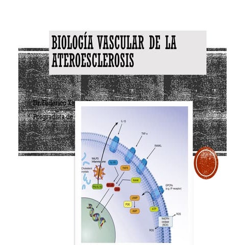 269849174-ECMO-Cardiac-Surgery by Sandeep nathan MD | PDF