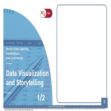 Placemat - Data Visualization and Storytelling 1.pdf
