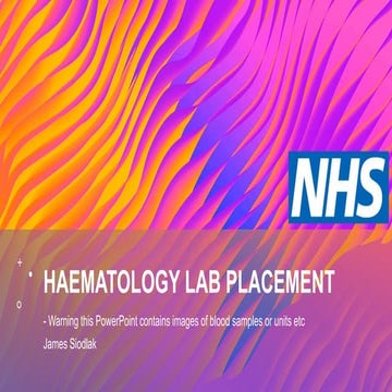 Placement presentation.pptx