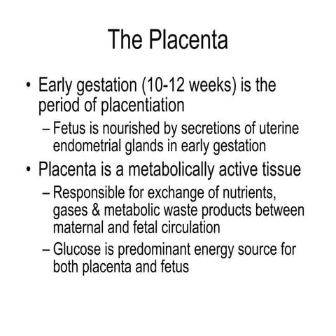 Placenta | PPT