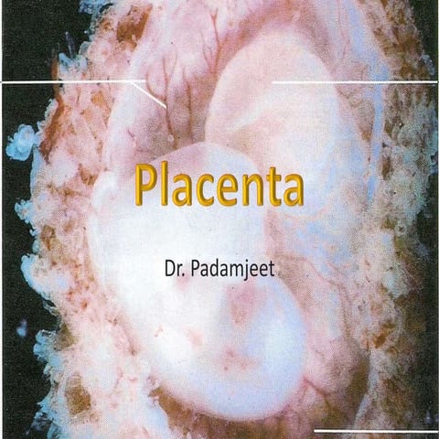 Placental anatomy and its functions | PPTX