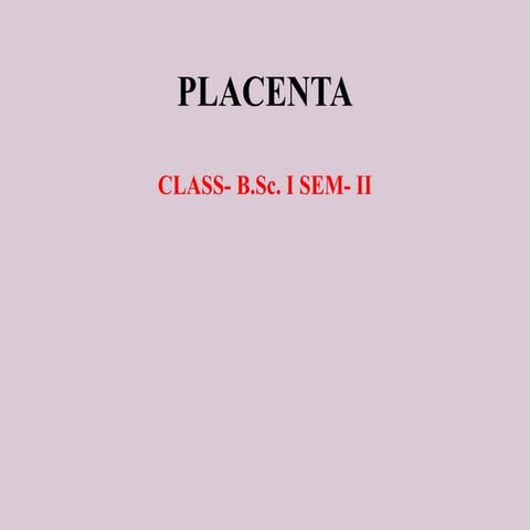 Placenta Ppt