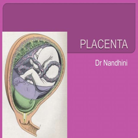placenta.pptx