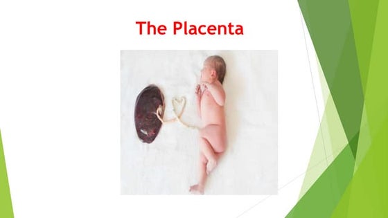 Placenta at term for nursing students | PPTX