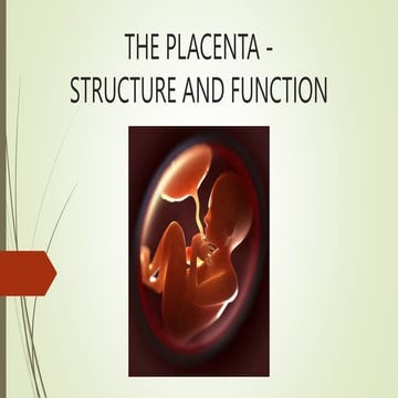 Placenta anatomy-physiology.pptx