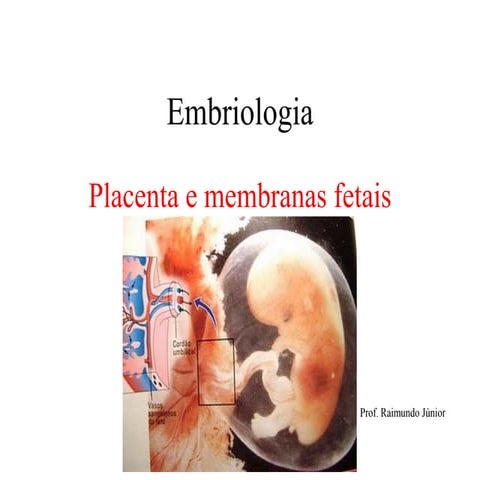 22 Placenta E Membranas Fetais | PPT