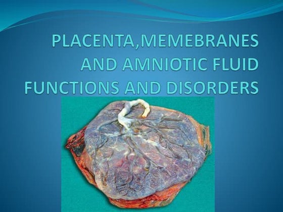 Placenta Extrachorialis PLACENTA EXTRACHORIALIS