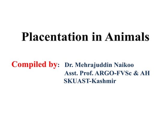 Placentation in mammals | PPTX | Pregnancy | Reproductive Health