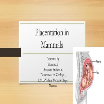 Placenta structure and Classification | PPT