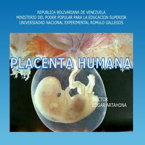 Placenta window 2010 | PPT