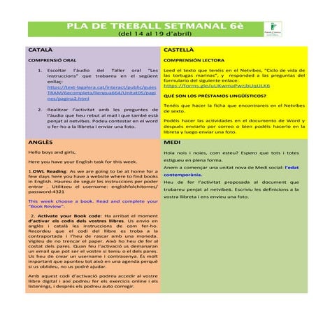 Pla de treball | PDF