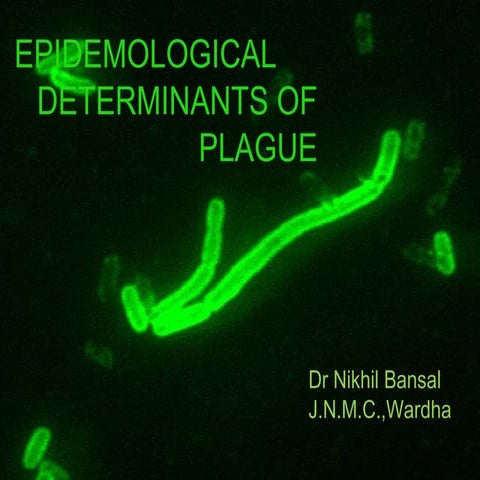 Plague | PPT
