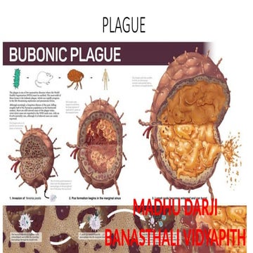 Plague | PPTX