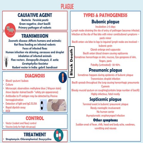 Plague infograph | PDF