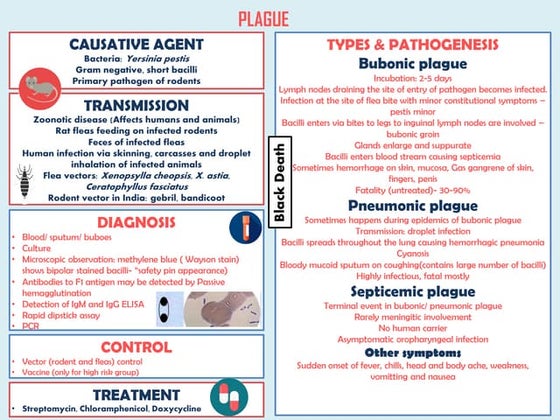Food microbiology - mold: morphological, cultural, physiological ...