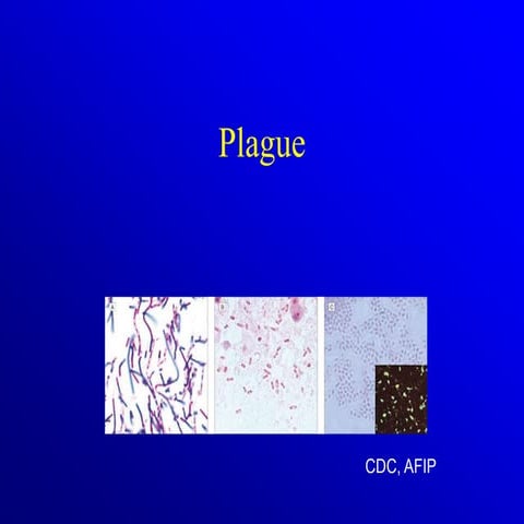 plague(1).ppt