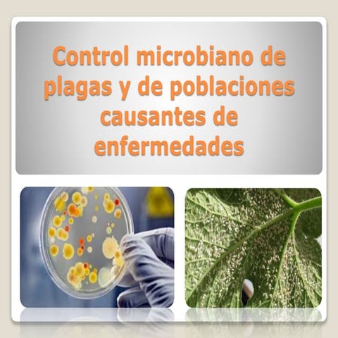 CONTROL MICROBIANO DE PLAGAS | PPTX