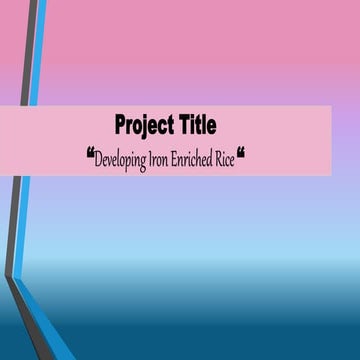 A presentation on developing iron enriched rice | PPT