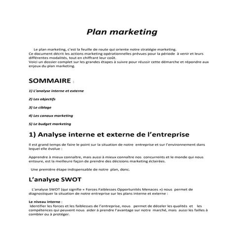 Plan MARKETING | PDF