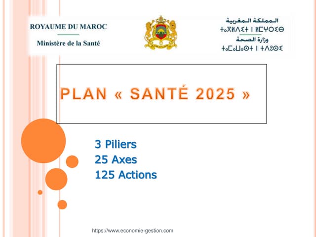 Système national de santé 2023.pdf