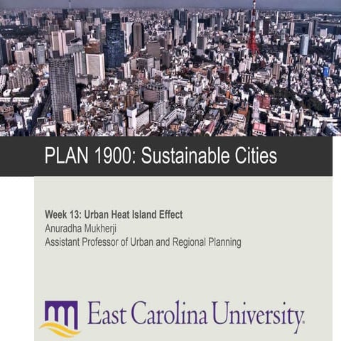 Sustainable Cities: Urban Heat Island | PPT