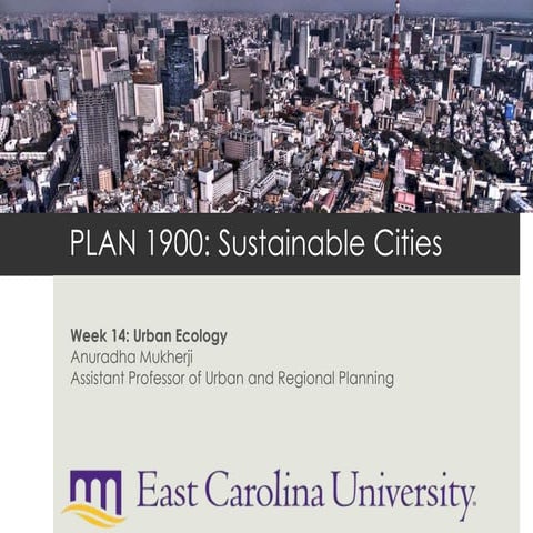 Sustainable Cities: Urban Ecology | PPTX