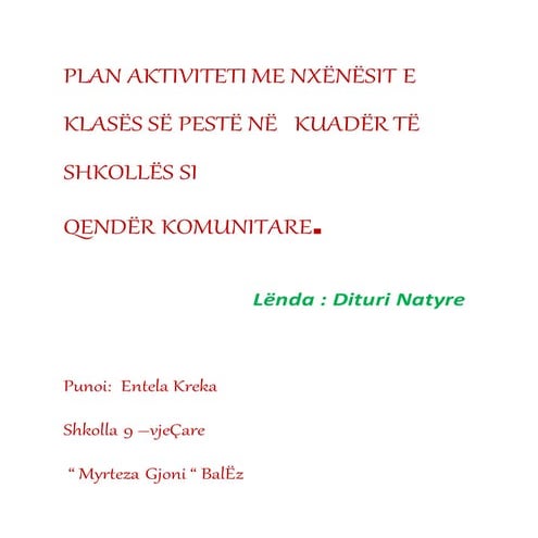 Modeli i një planifikimi ditor | DOCX