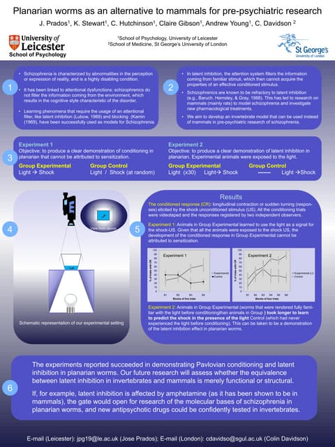 DISSERTATION POSTER FINAL | PPT
