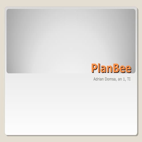Plan Bee | PPT