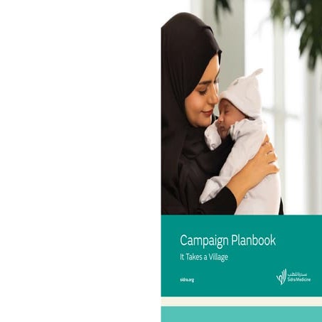 It Takes a Village Campaign Plan Book; Sidra Medicine | PDF
