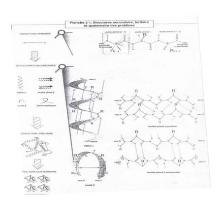 Planche Structures I, II, III et IV-1.doc