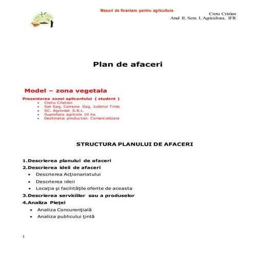 Plan de afaceri.docx