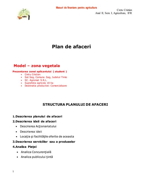 Plan de-afaceri-antreprenoriat-calcul | PDF