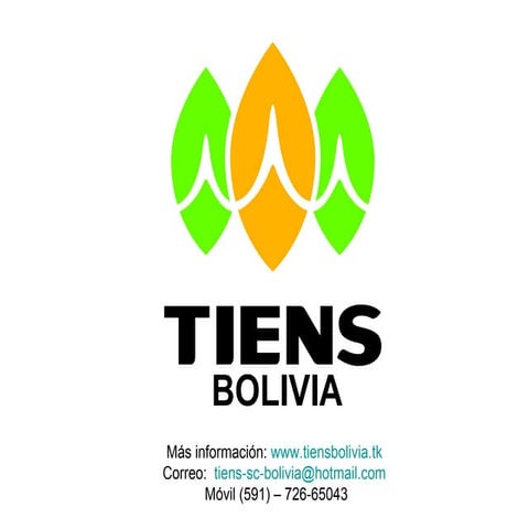 Plan de compensacion tiens | PPT