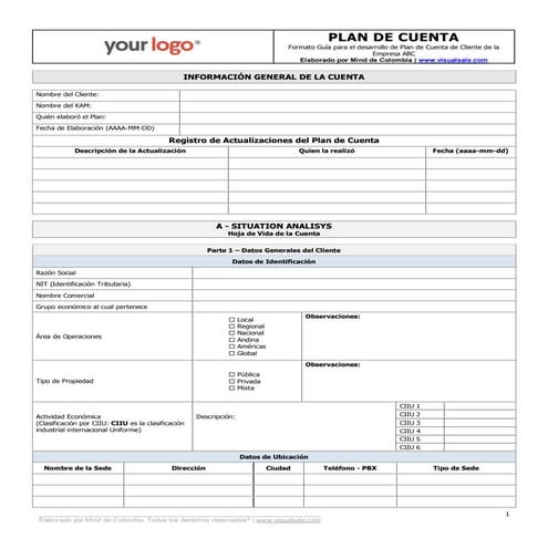 Plantilla de Plan de Cuenta KAM (Key Account management) | PDF