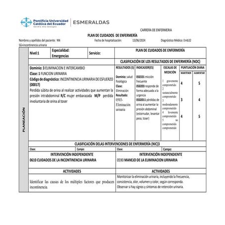 PLAN DE CUIDADOS INCONTINENCIA URINARIA DE MAESTRIA. | DOCX