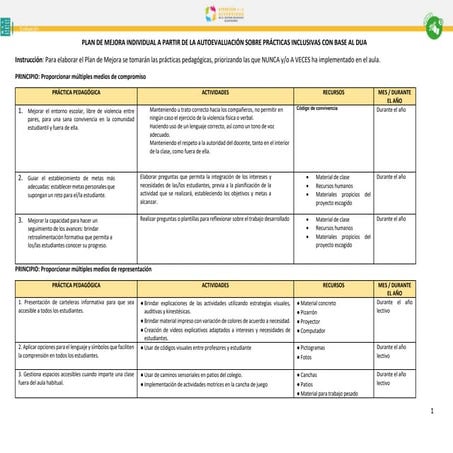 PLAN DE MEJORA INDIVIDUAL.pdf