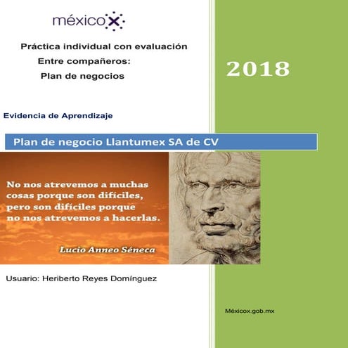 Plan De Negocio Heriberto Reyes Pdf 