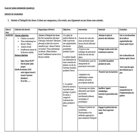 cours planification de soins au Maroc ( soins infirmiers) | PDF