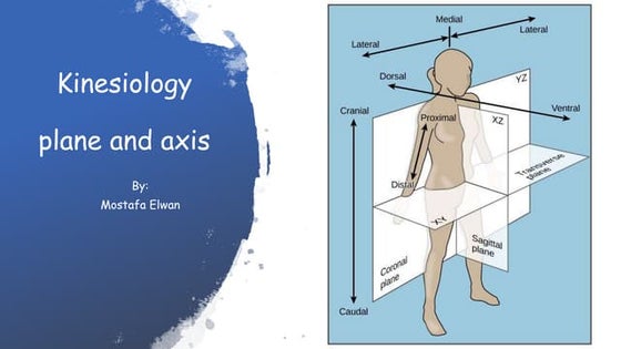 Basic Prosthetics II | PPT