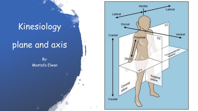 axis and planes | PPTX