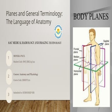 Anatomical positions of cranial and caudal | PPTX