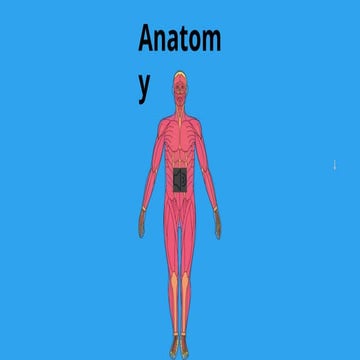planes and language of human anatomy .pptx