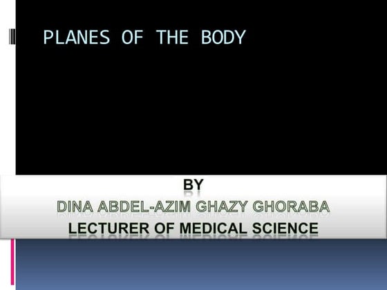 Planes of the_body | PPT | Drawing and Sketching | Arts and Crafts