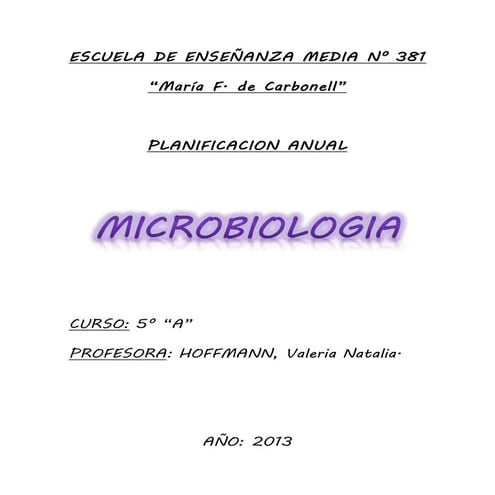 Planificacion 5to EESO N° 381 | DOCX