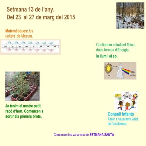 Planificació 25a setmana (13) 14 15 | PPT